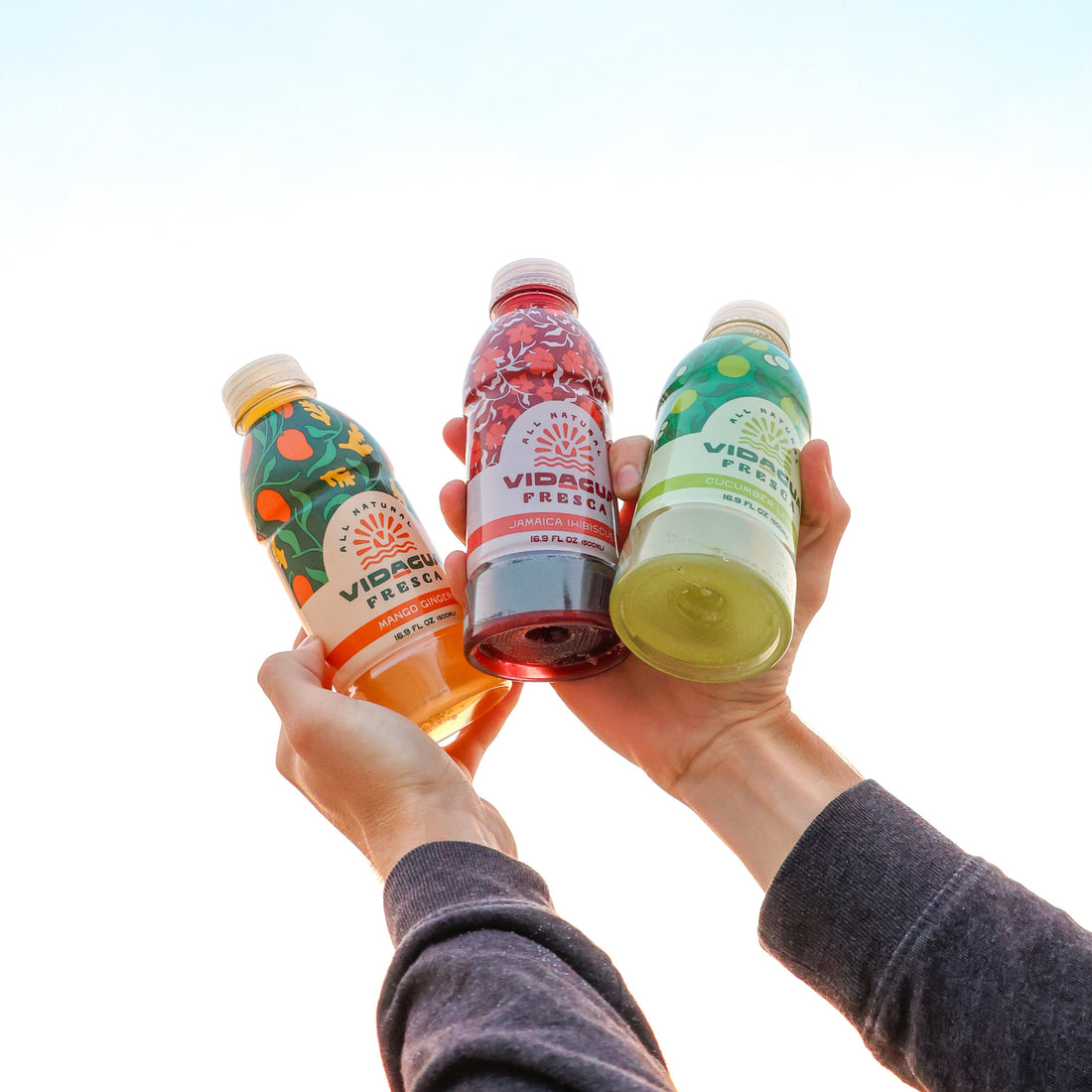 Natural Agua Fresca | Authentic Hydration | Antioxidants – Vidagua
